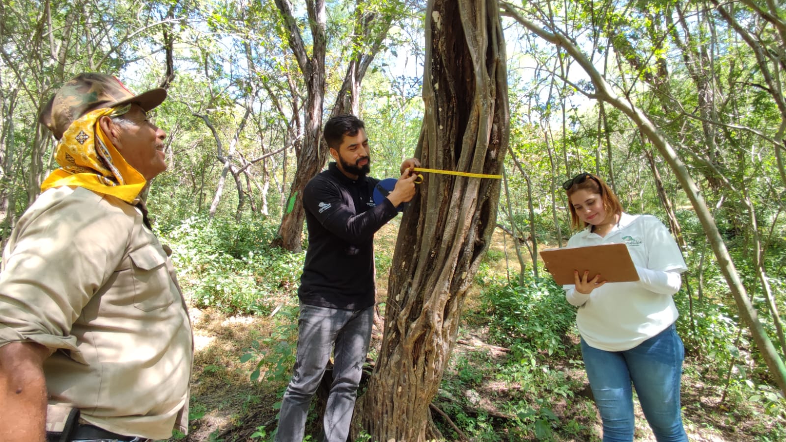 Empresas y comunidades conservan más de 4 mil hectáreas de selva en ...